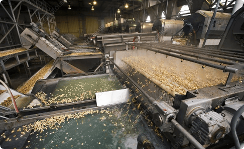 About - Nazari Pistachio