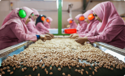 About - Nazari Pistachio