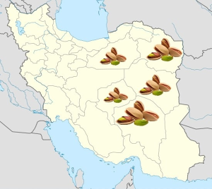 3 Top pistachio producing countries